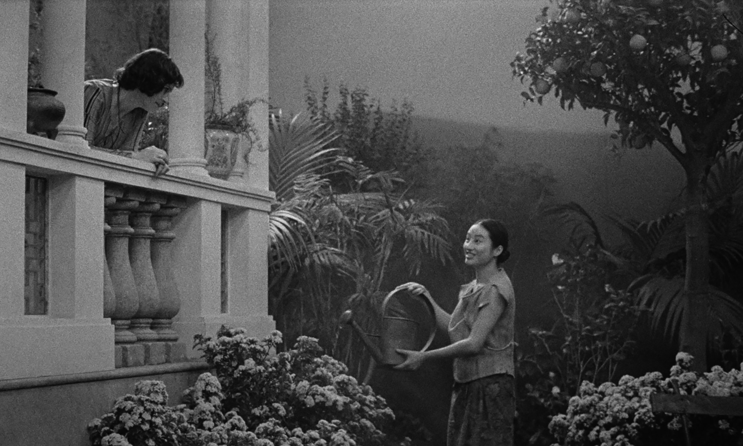 Grand Tour - Shellac