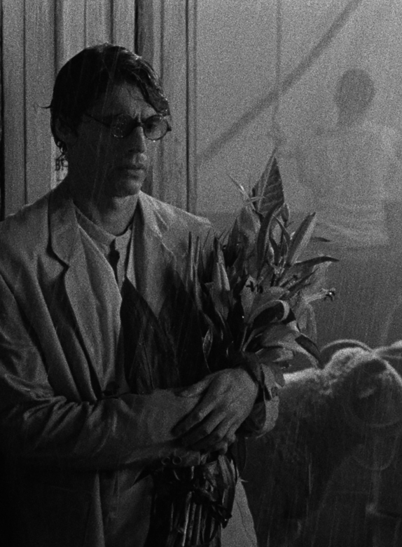 Grand Tour - Shellac